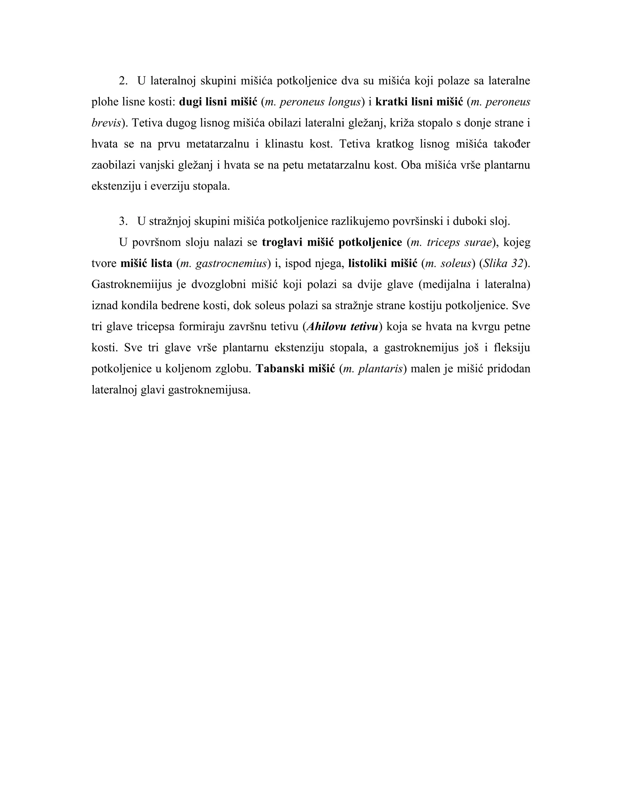 Anatomija | PDF