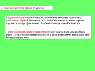 anatomijaimorfologijabiljaka10prezen.ppt