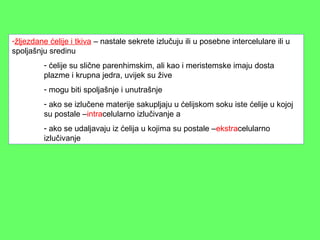 anatomijaimorfologijabiljaka10prezen.ppt