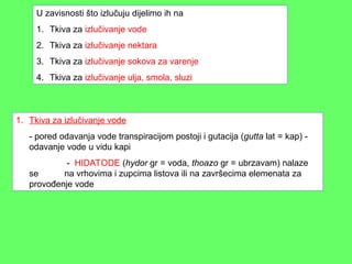 anatomijaimorfologijabiljaka10prezen.ppt