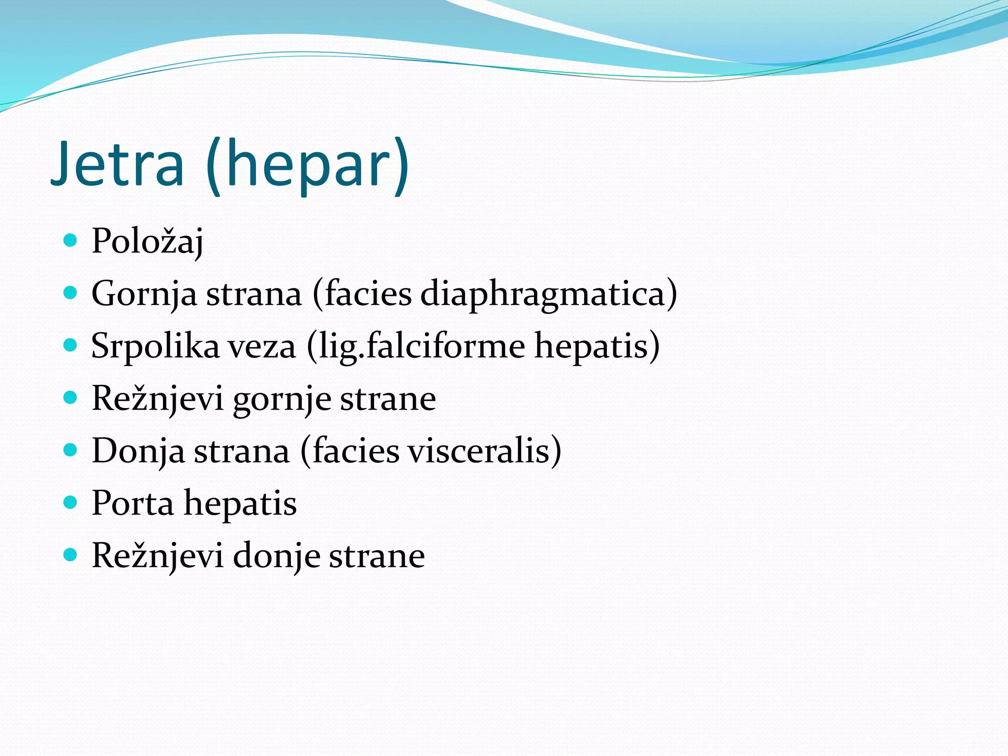 Žlijezde pridodate digestivnom sistemu/Morfološke karakteristike ...