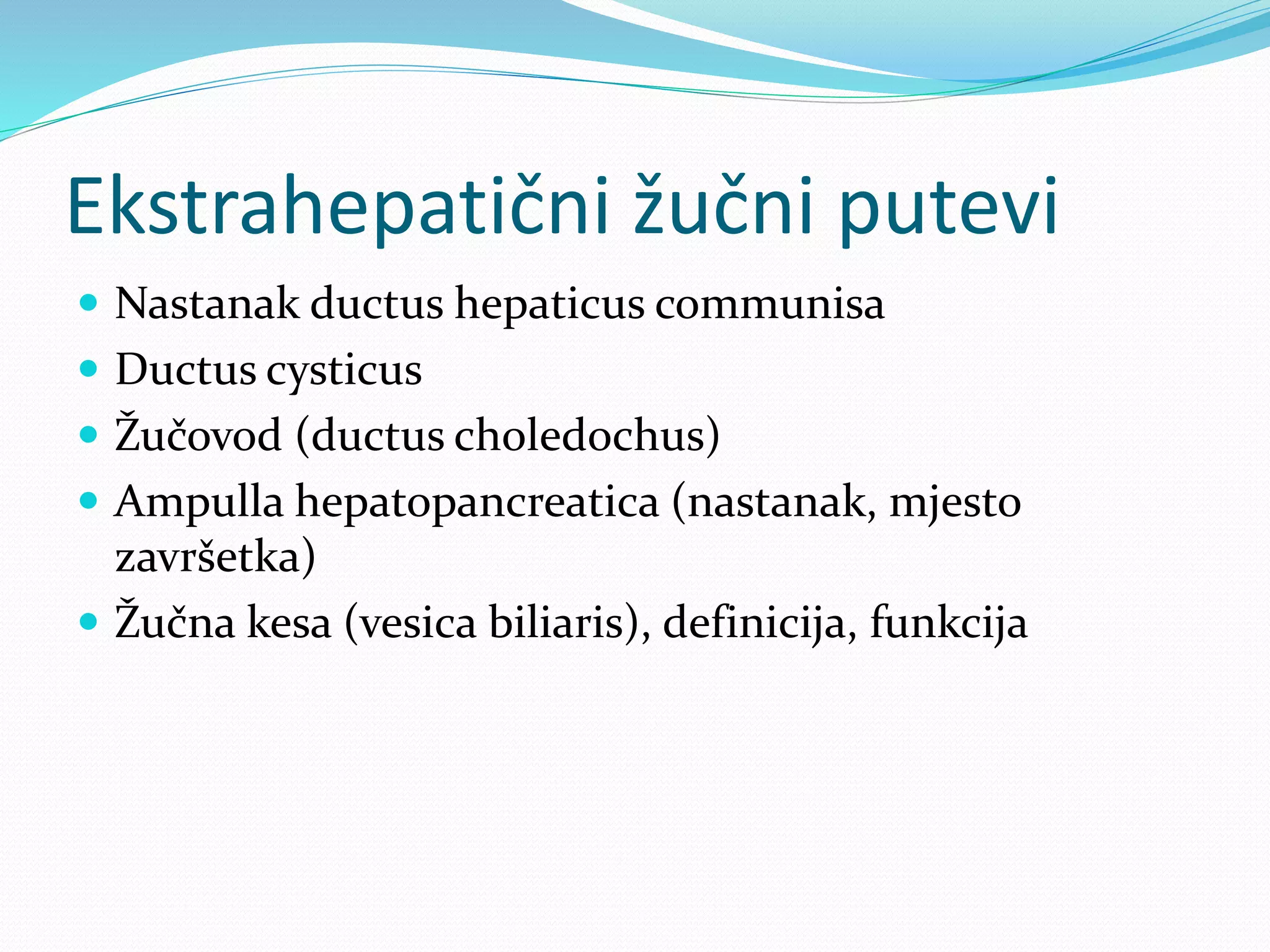 Žlijezde pridodate digestivnom sistemu/Morfološke karakteristike ...