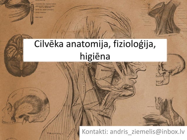 Anatomija ievads - atkārtojums par šūnu un audiem | PDF