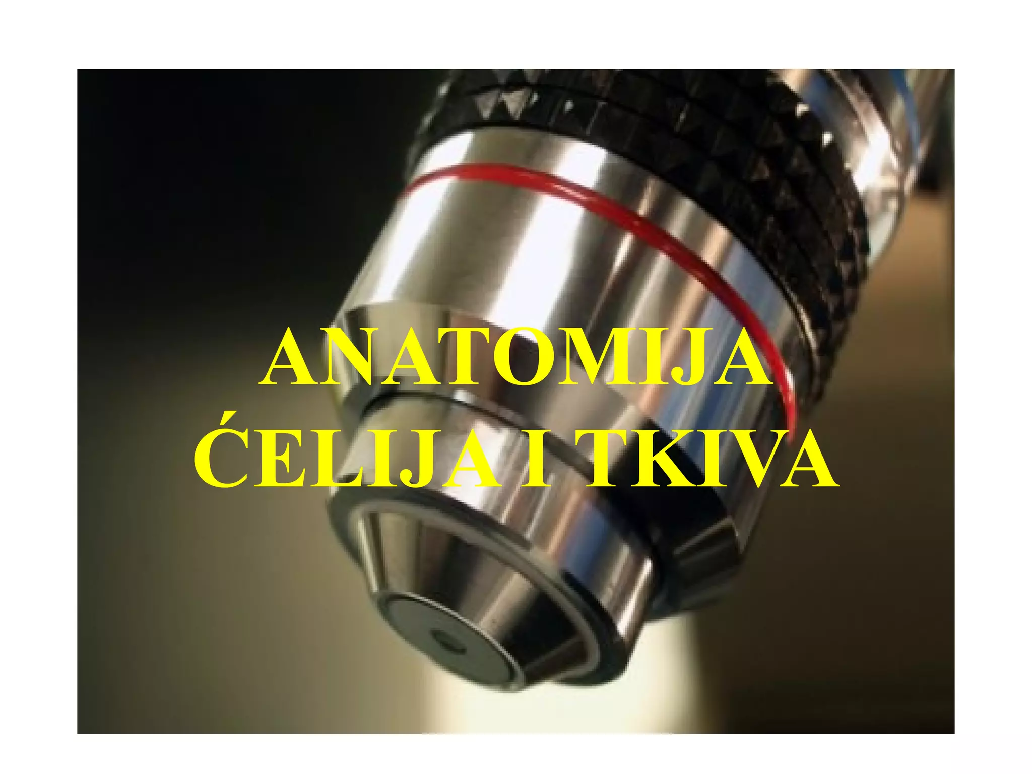 Anatomija celija i tkivo | ODP