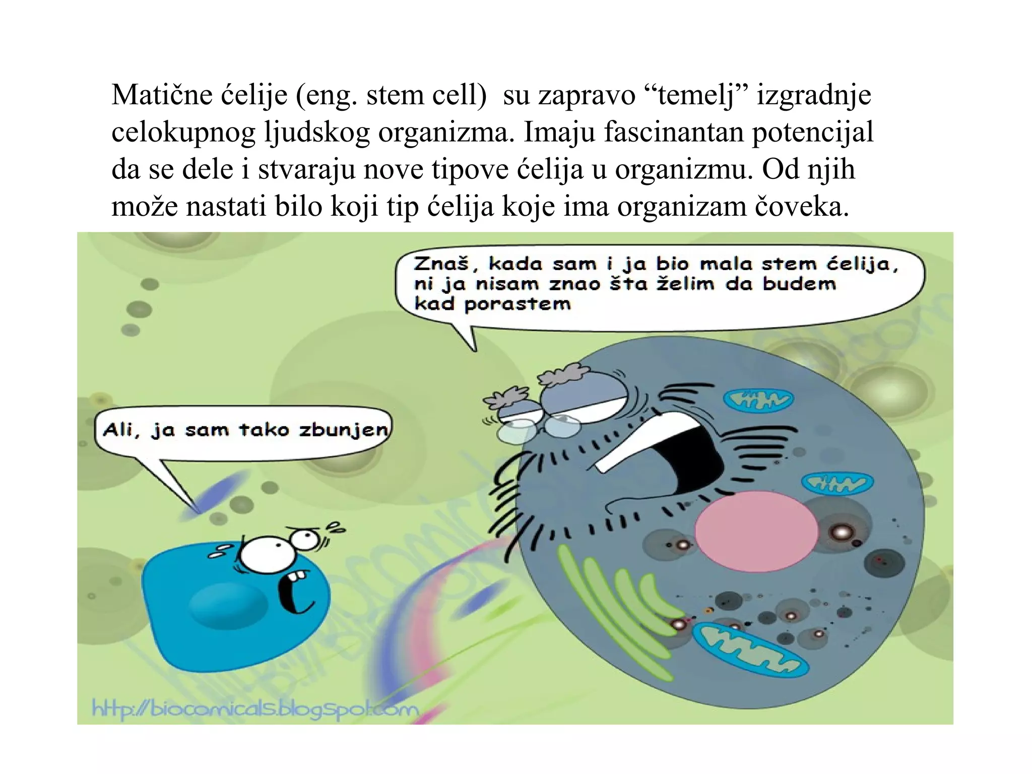 Anatomija celija i tkivo | ODP