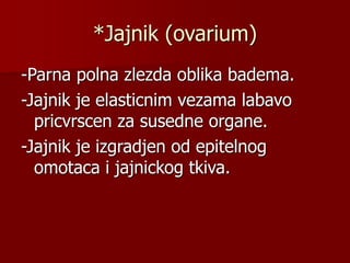 Anatomija ženskih polnih organa | PPT