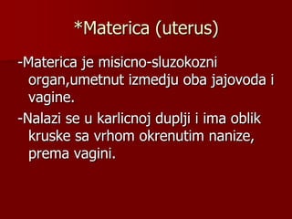 Anatomija ženskih polnih organa Savic Natalija | PPT