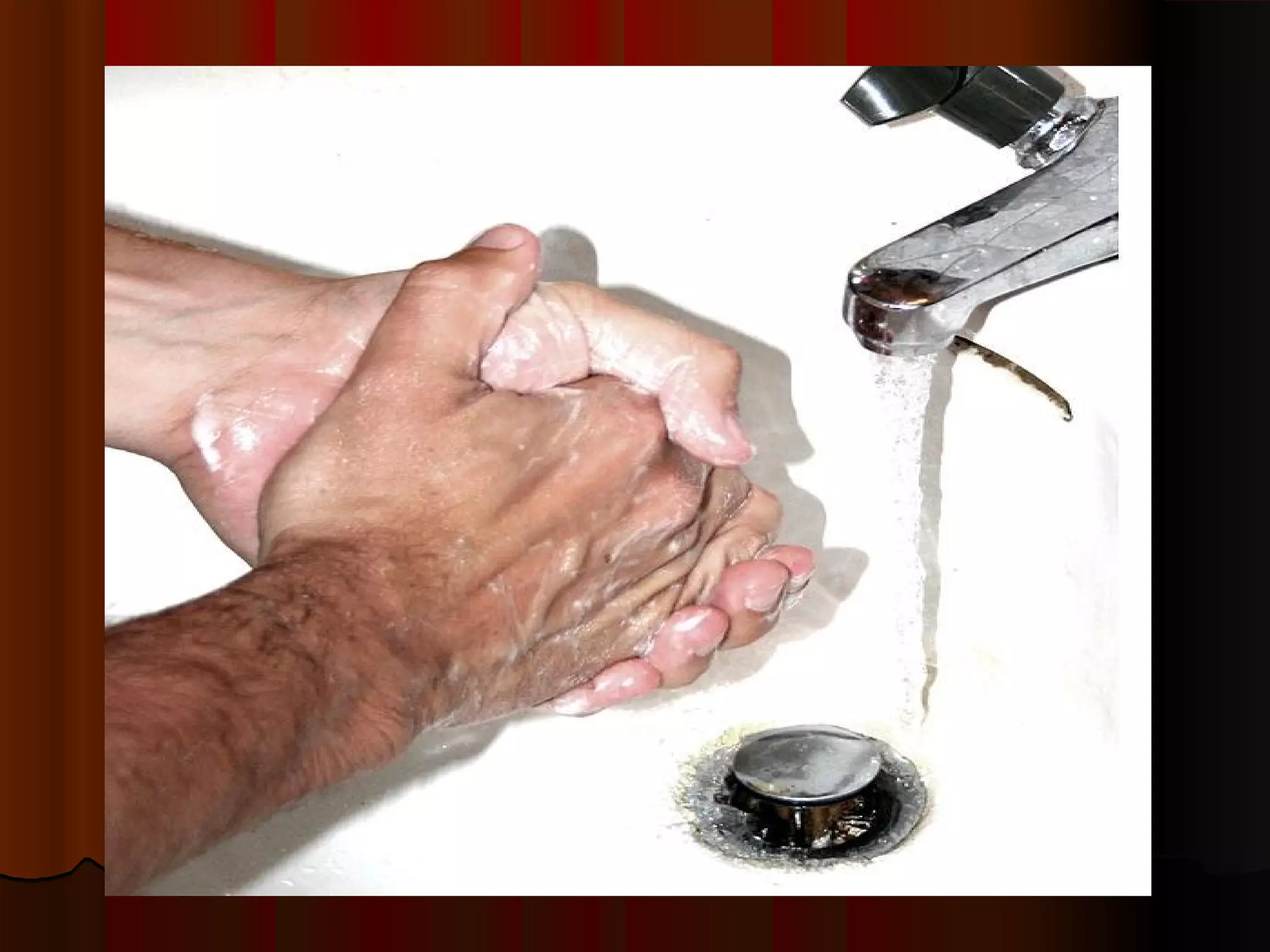 Anatomija, fiziologija i higijena čovjeka | PPT