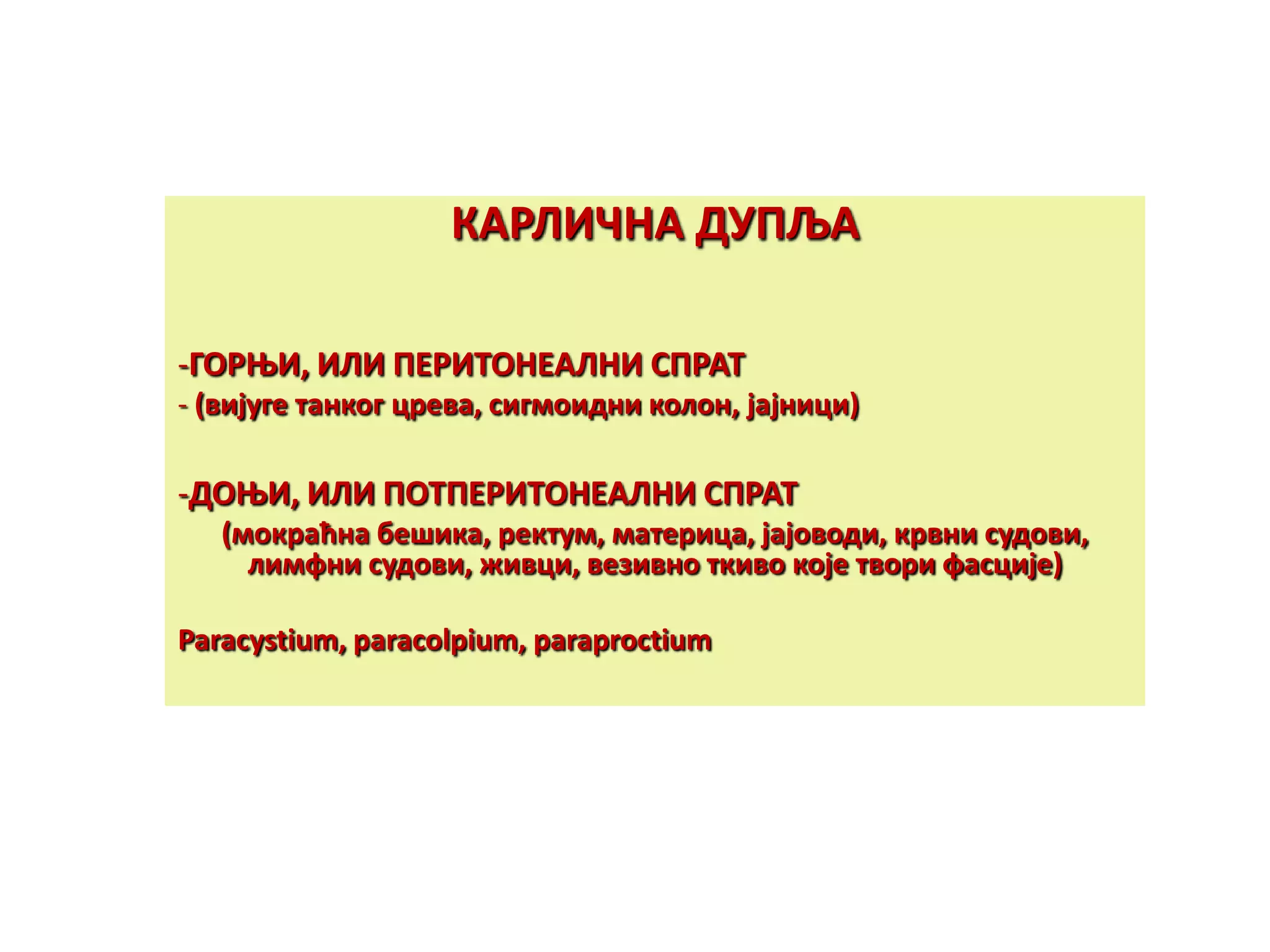 Anatomija karlice | PPTX