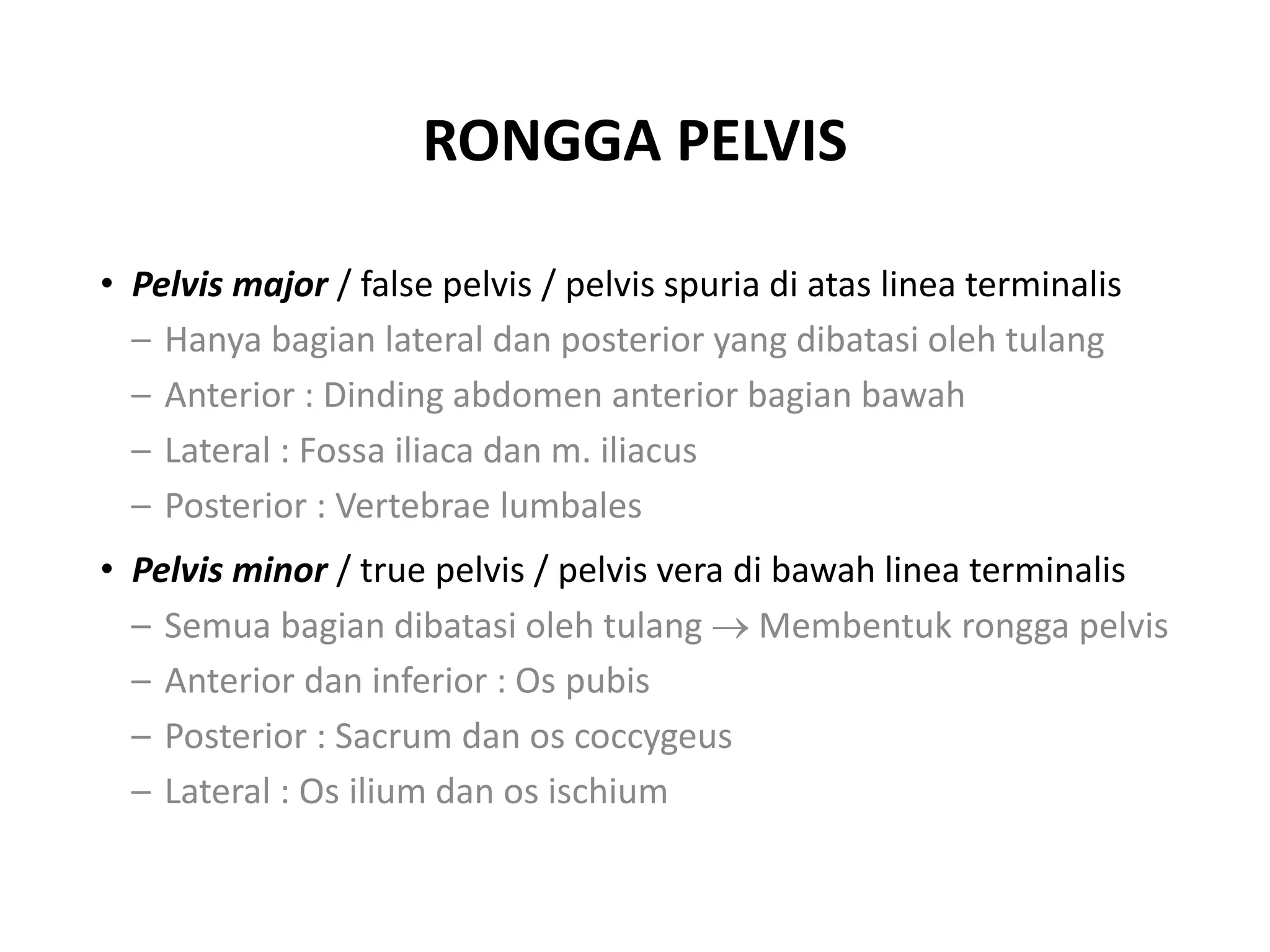 Anatomi Jalan Lahir | PPTX