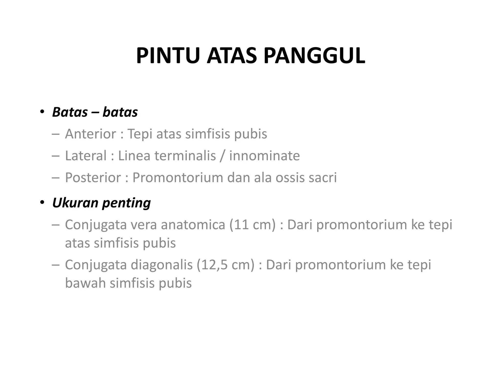 Anatomi Jalan Lahir | PPTX