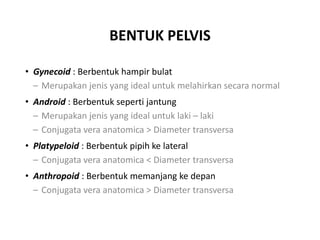 Anatomi Jalan Lahir | PPTX