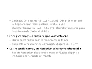 Anatomi Jalan Lahir | PPTX