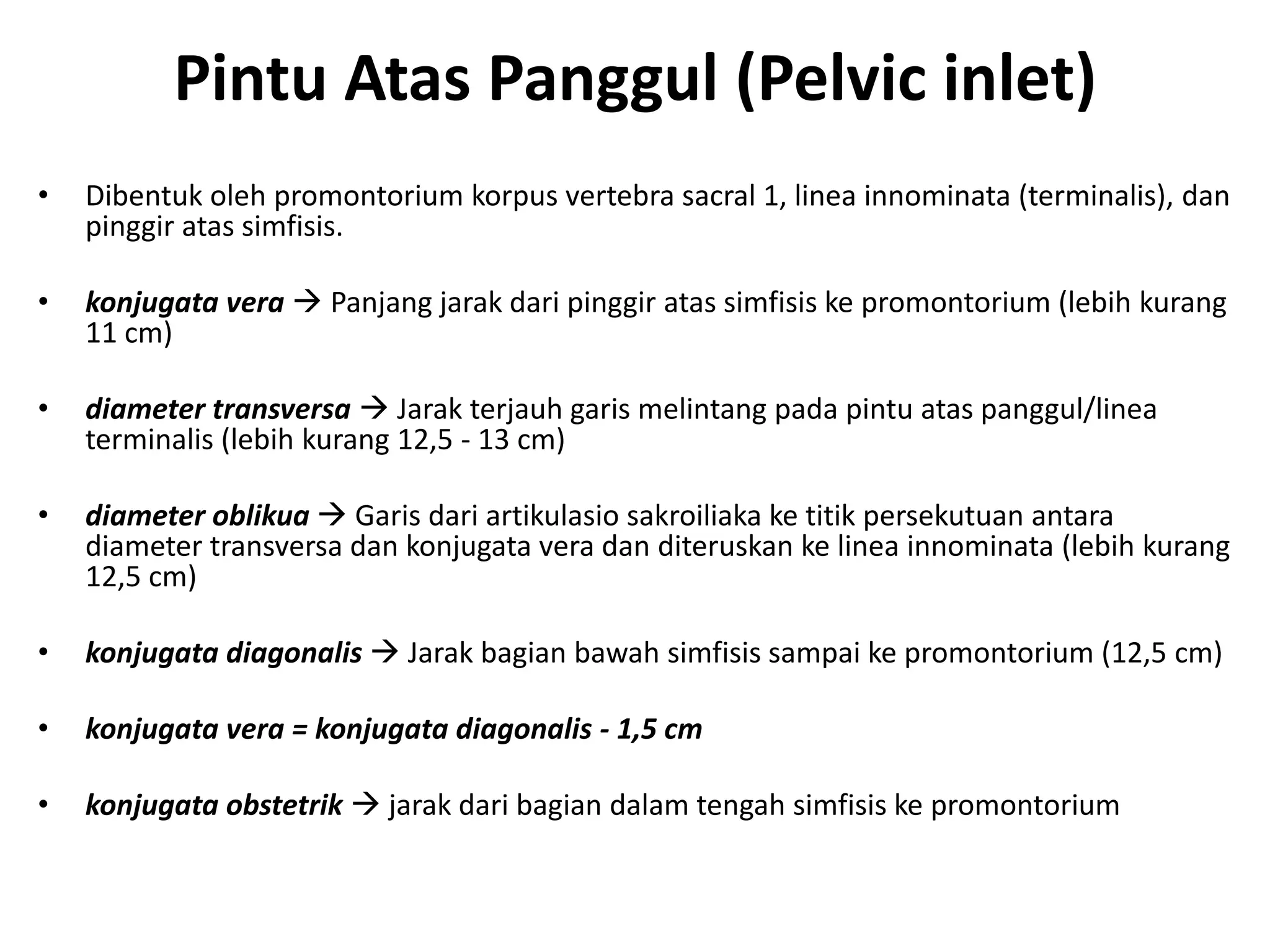 ANATOMI JALAN LAHIR.pdf