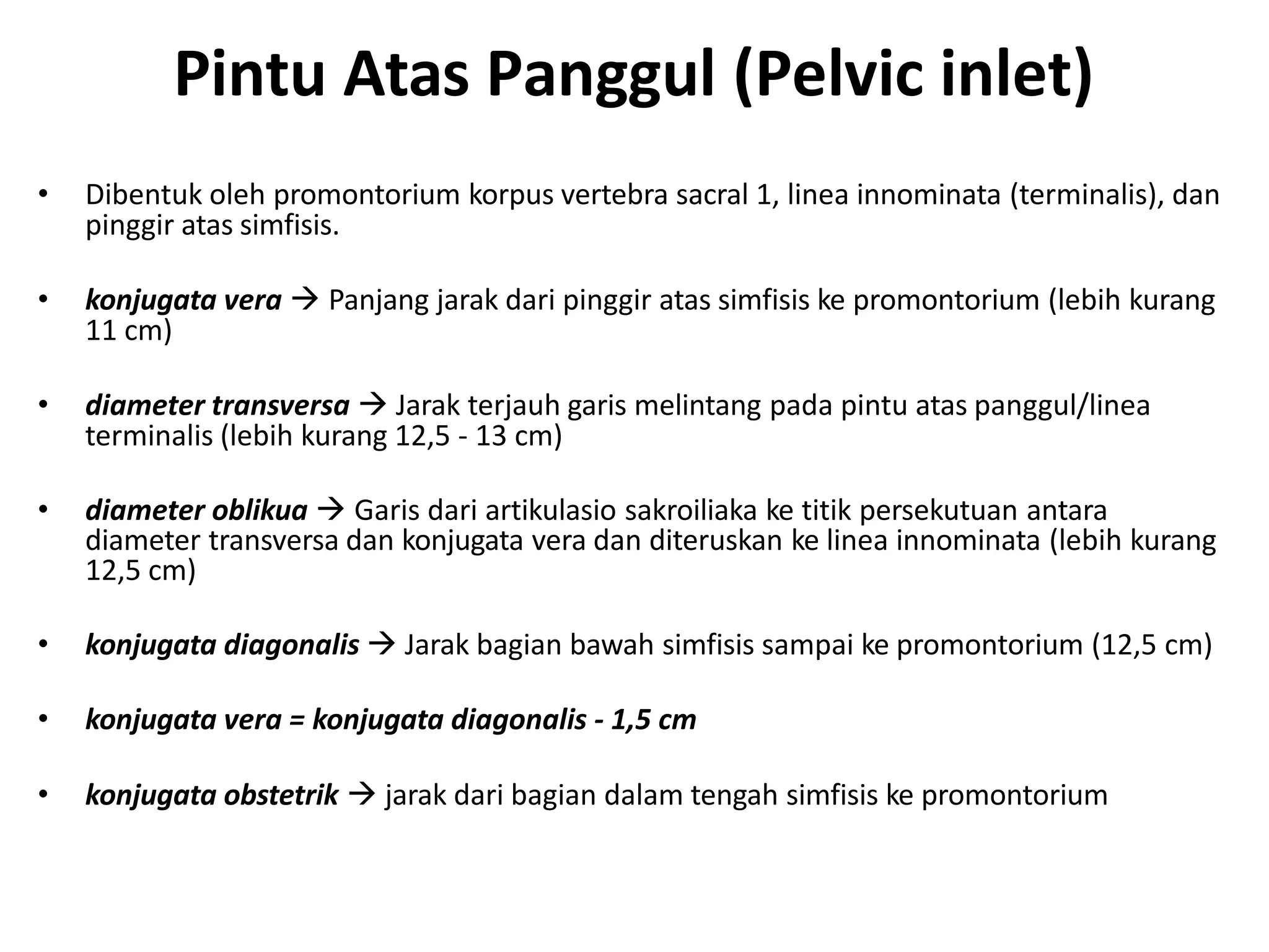 ANATOMI JALAN LAHIR.pptx