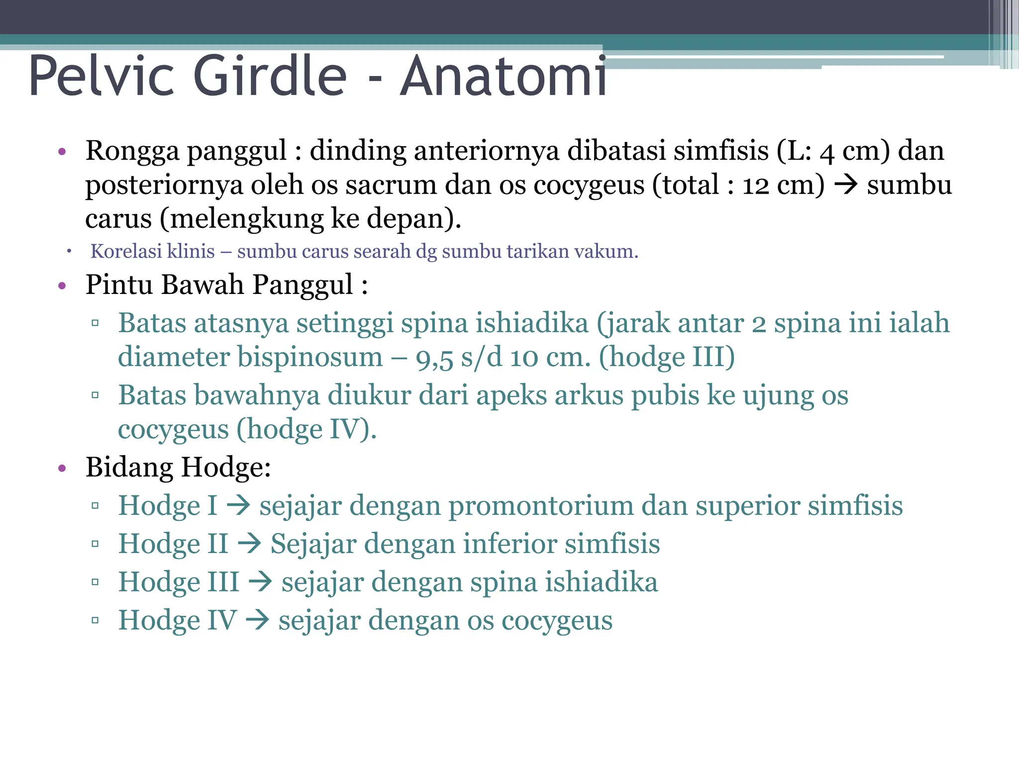 Anatomi Jalan Lahir - Tulang, Otot, Ligamen.pptx