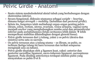 Anatomi Jalan Lahir - Tulang, Otot, Ligamen.pptx