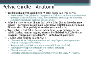 Anatomi Jalan Lahir - Tulang, Otot, Ligamen.pptx