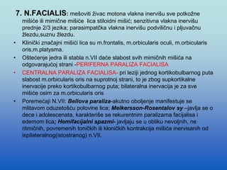 Anatomija nervnog sistema | PDF