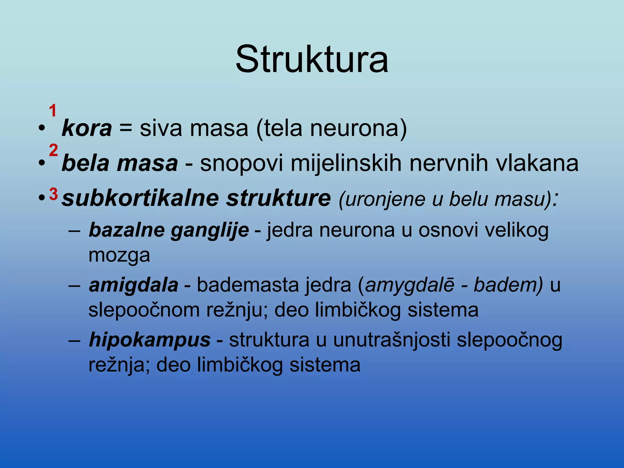 Anatomija CNS-a | PDF