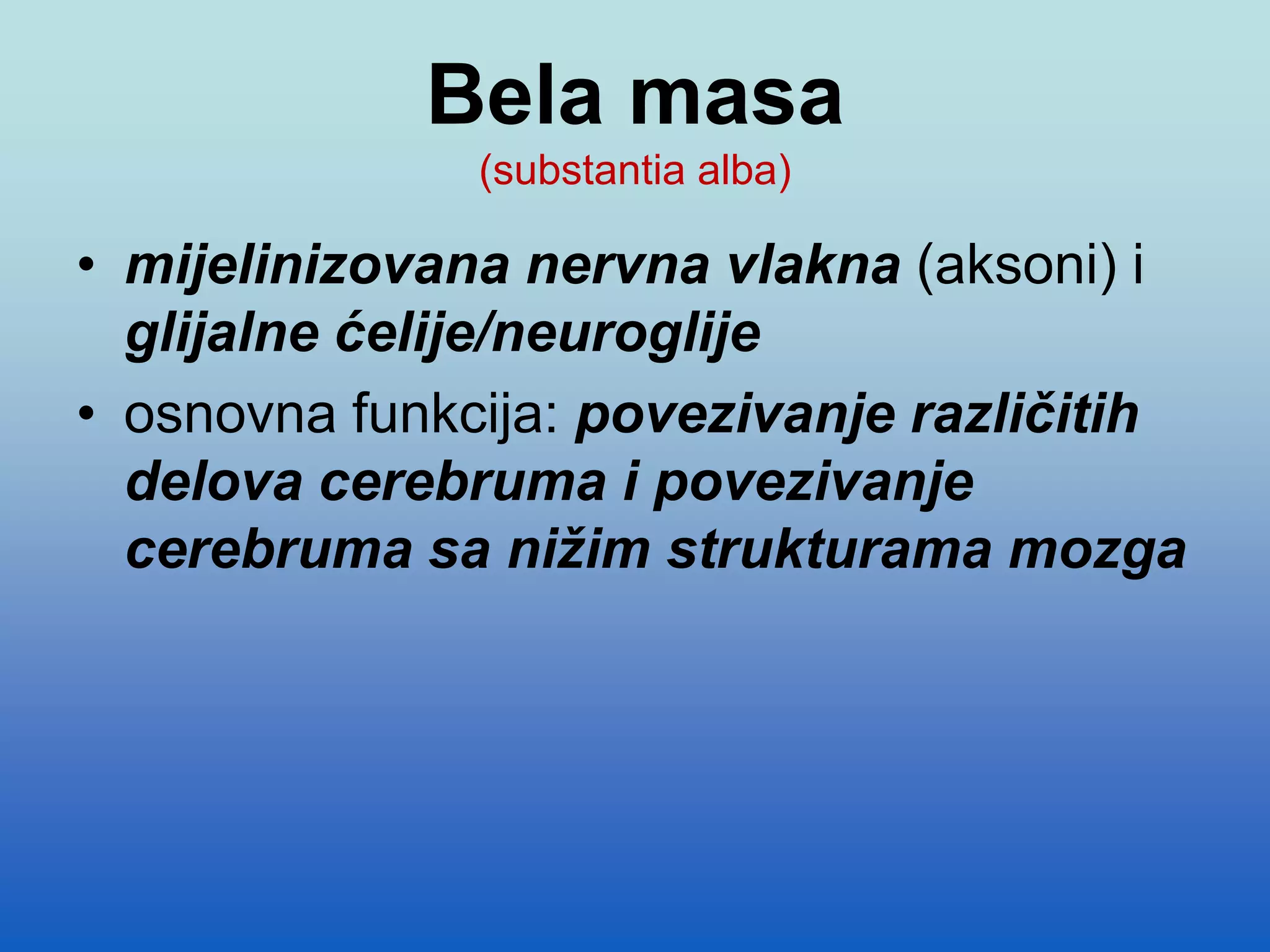 Anatomija CNS-a | PDF