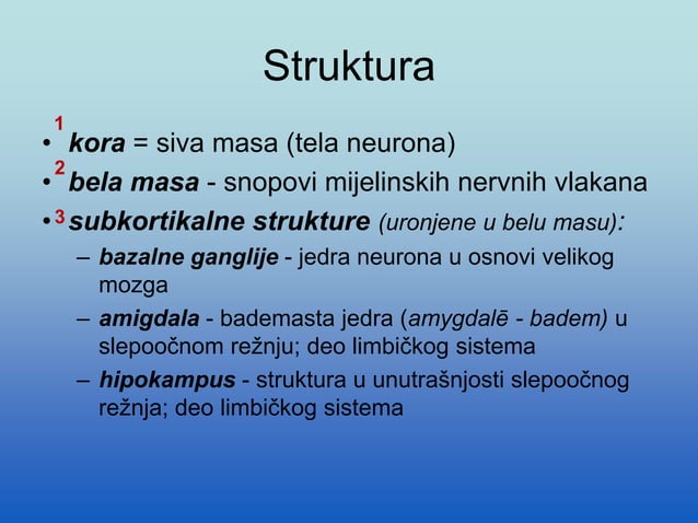 Anatomija CNS-a | PDF