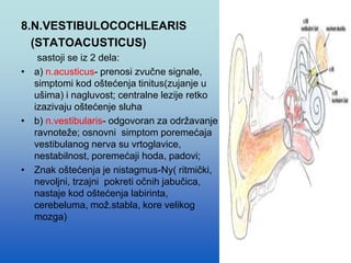 Anatomija CNS-a | PDF