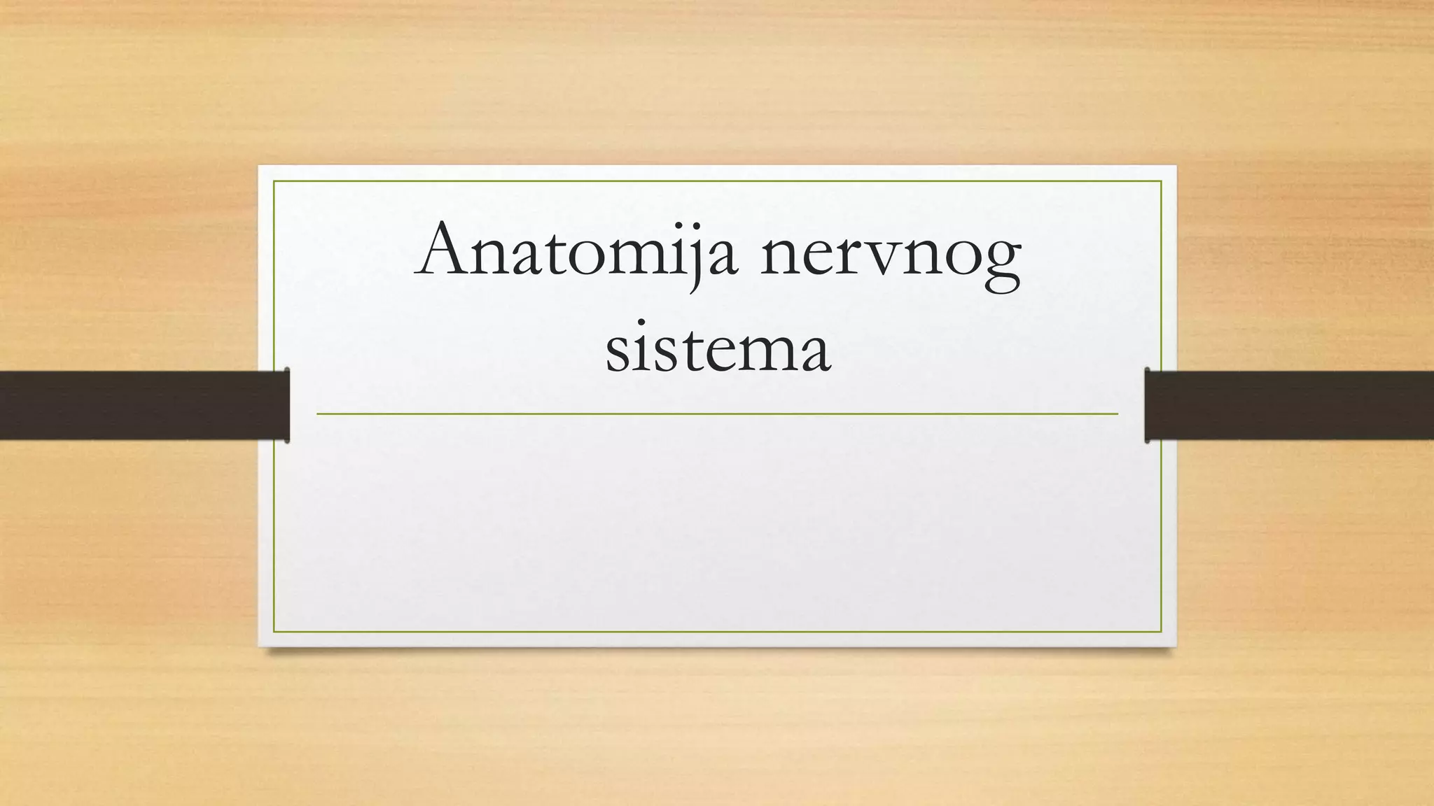 Anatomija nervnog sistema | PPTX