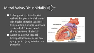 power point anatomi jantung (PPT Cardiology) | PPT
