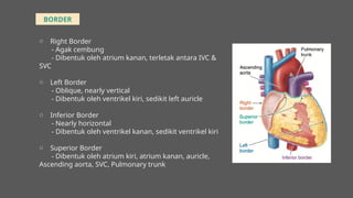 power point anatomi jantung (PPT Cardiology) | PPTX