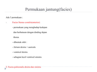 Anatomi jantung awalan blok pada jantuk CVS | PPT