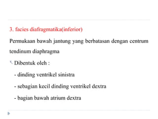 Anatomi jantung awalan blok pada jantuk CVS | PPTX