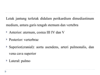 Anatomi jantung awalan blok pada jantuk CVS | PPT