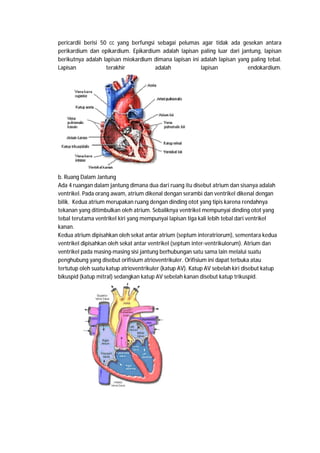 Anatomi jantung manusia | PDF