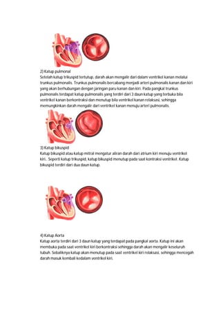Anatomi jantung manusia | PDF