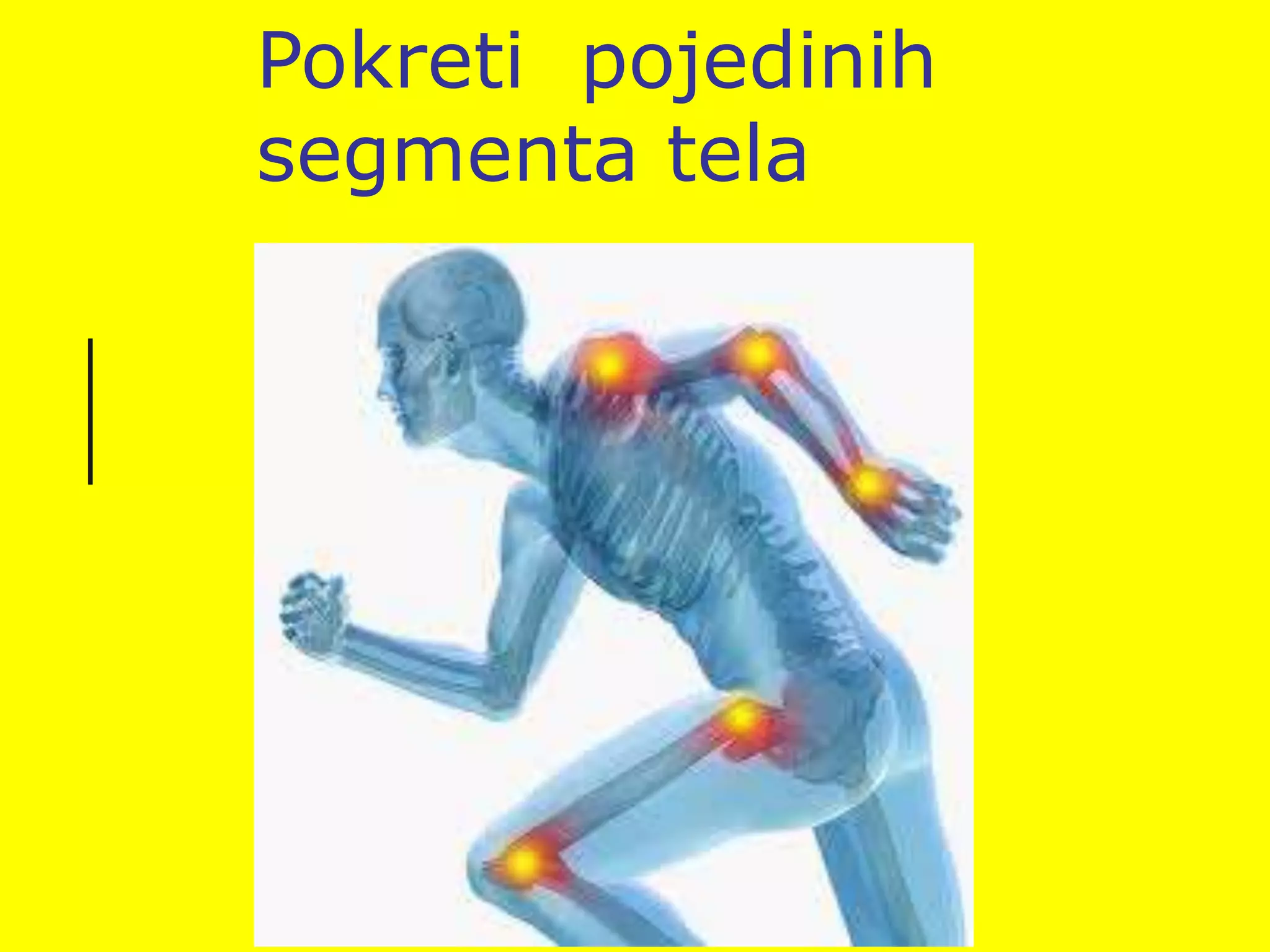 Anatomija segmenti tela | PPT