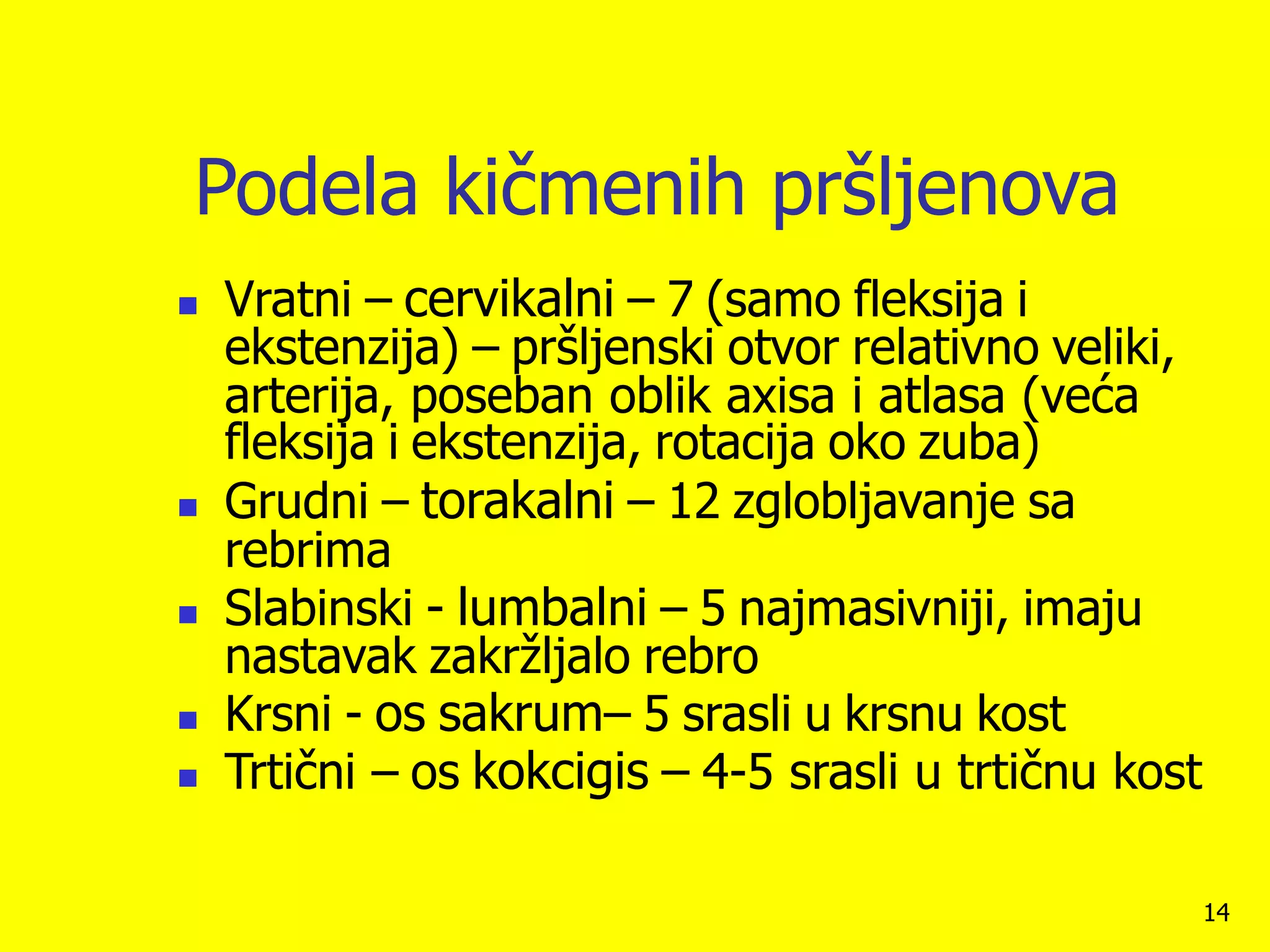 Anatomija segmenti tela | PPT
