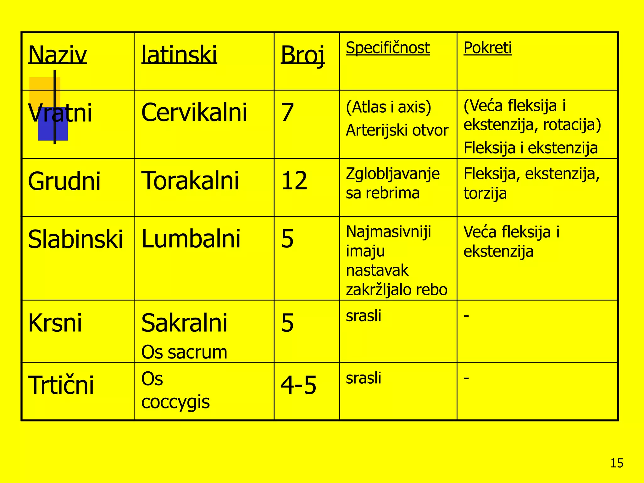 Anatomija segmenti tela | PPT