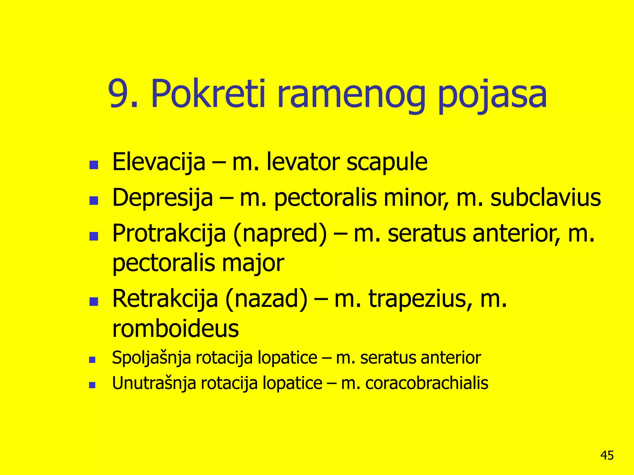 Anatomija segmenti tela | PPT