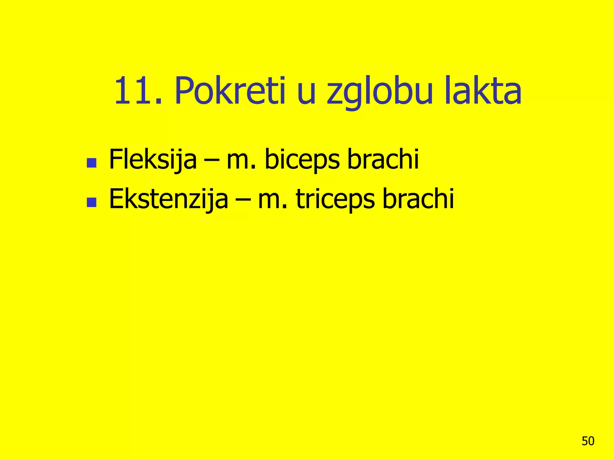 Anatomija segmenti tela | PPT