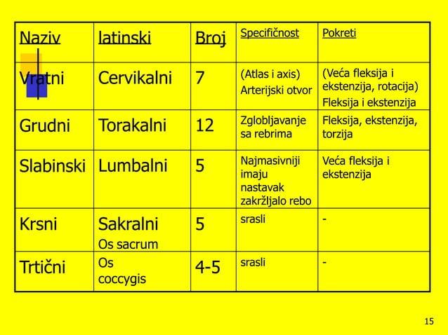 Anatomija segmenti tela | PPT