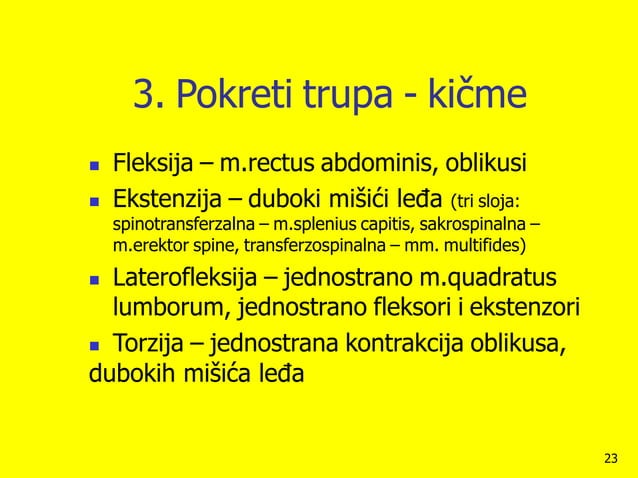 Anatomija segmenti tela | PPT