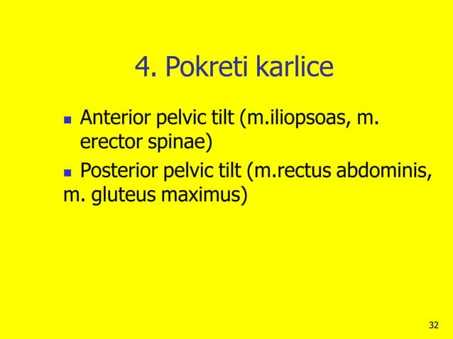 Anatomija segmenti tela | PPT