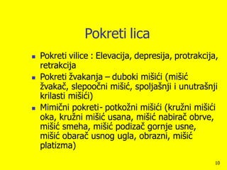 Anatomija segmenti tela | PPT