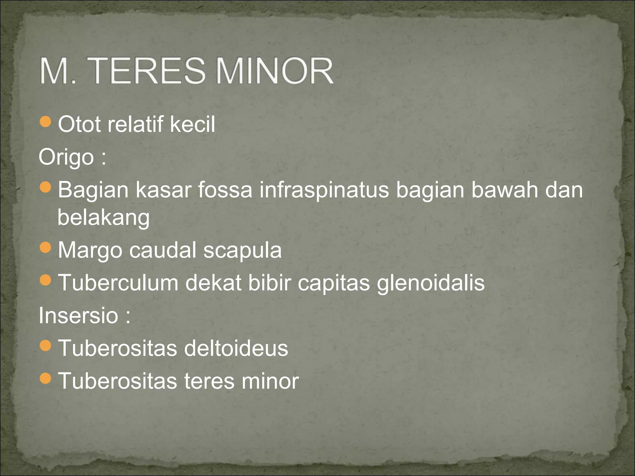 Anatomi kaki depan | PPT