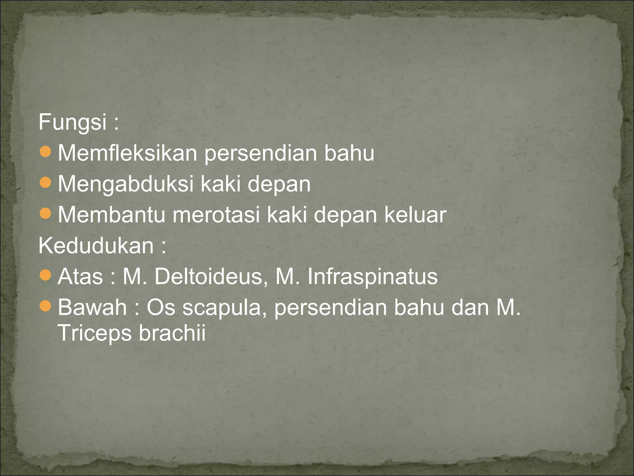 Anatomi kaki depan | PPT