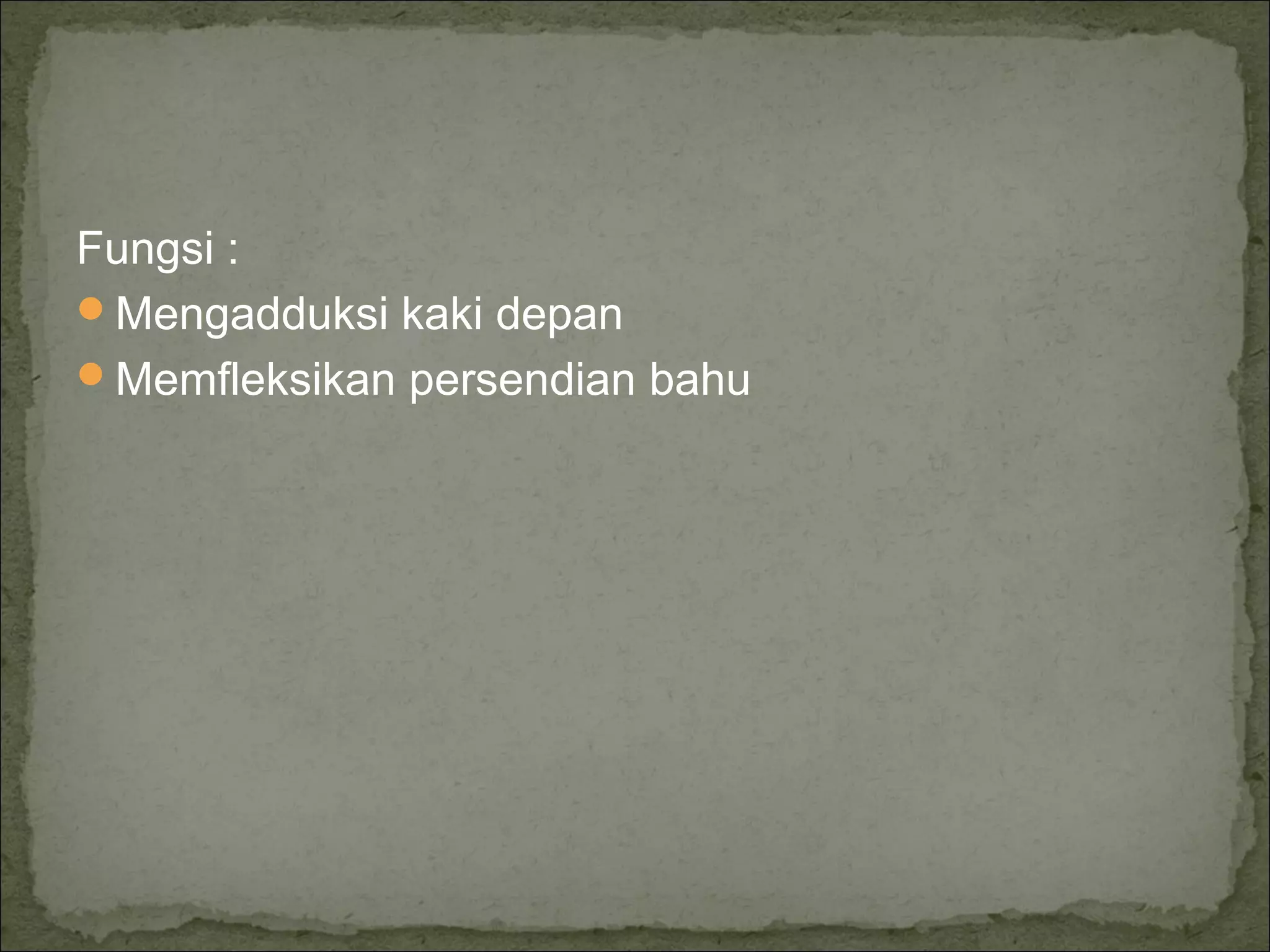 Anatomi kaki depan | PPT