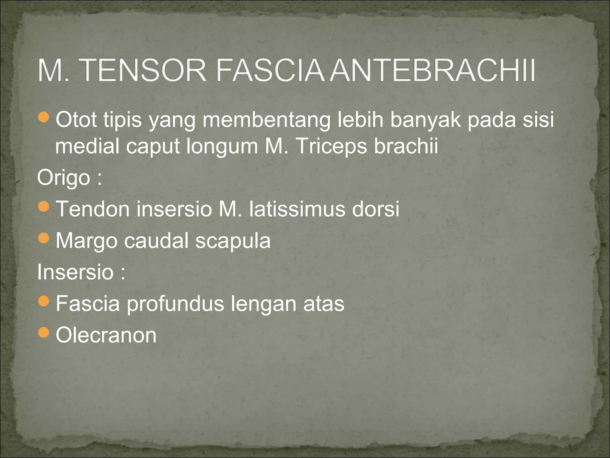 Anatomi kaki depan | PPT