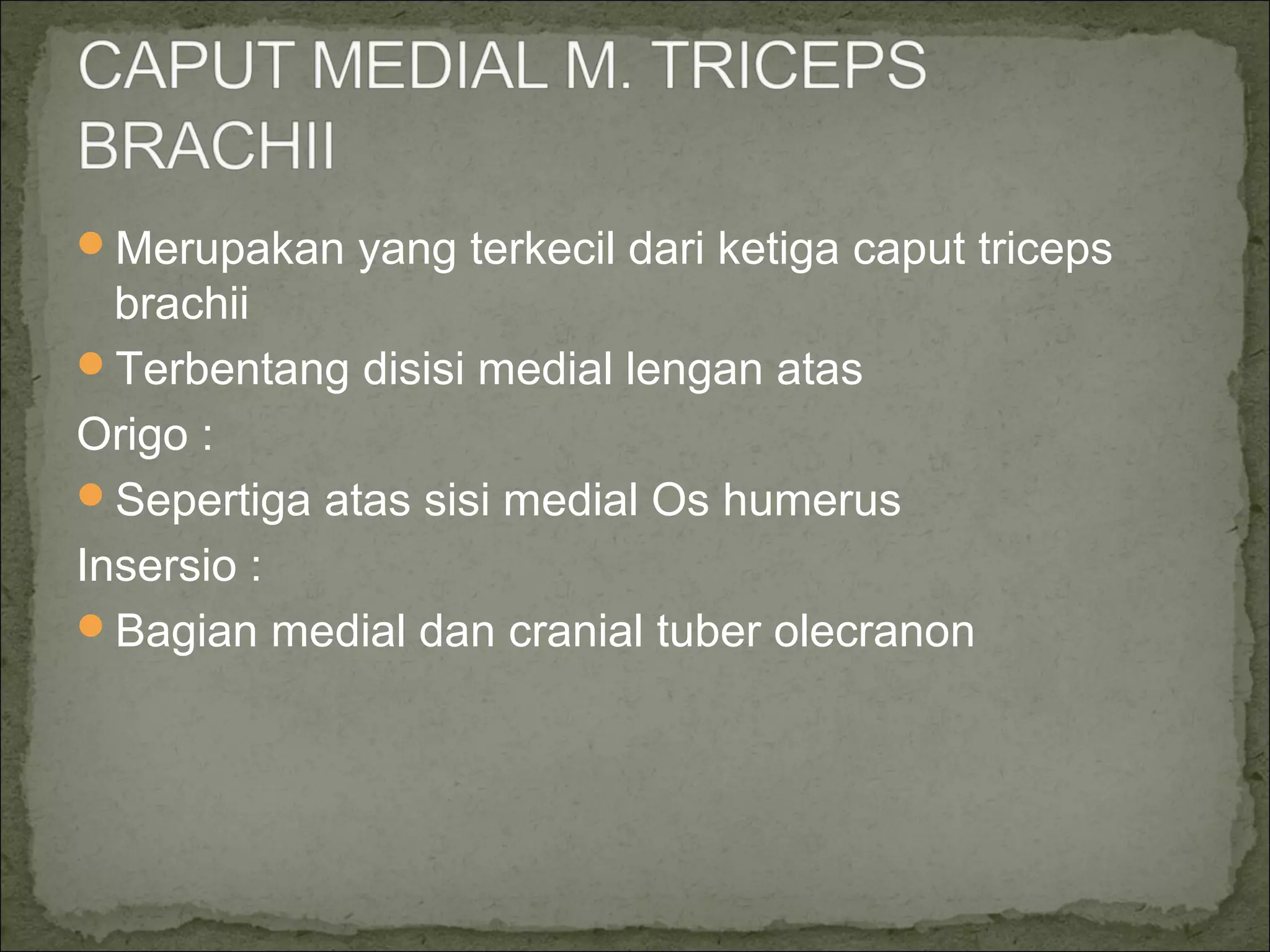 Anatomi kaki depan | PPT