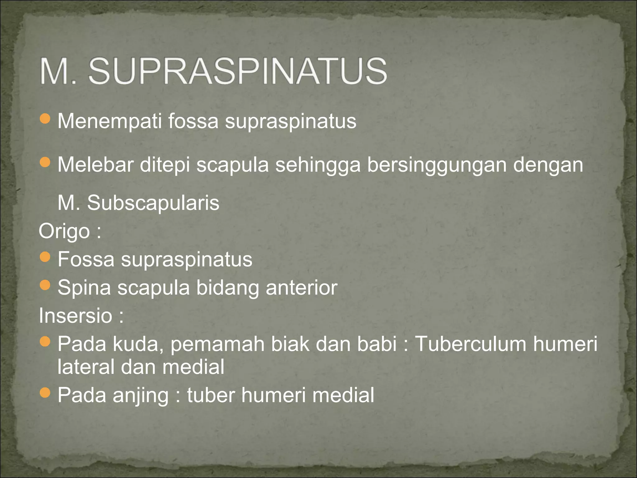 Anatomi kaki depan | PPT